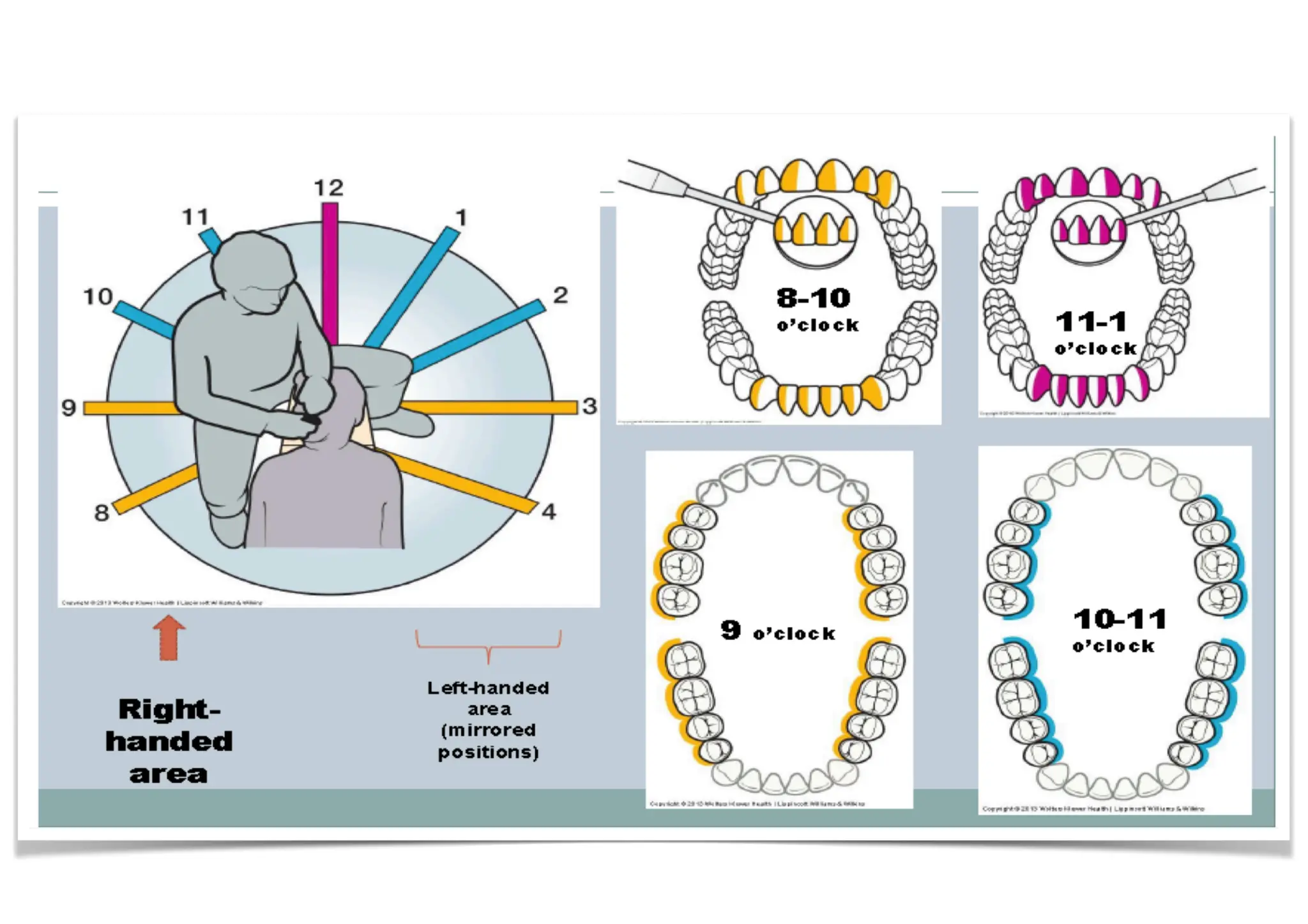 Dentist Patient Position.pdf