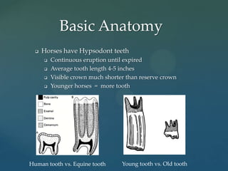 Dentistry - How It Can Improve Your Driving Horse | PPTX | Dental ...