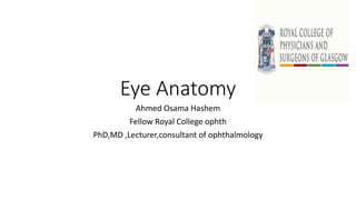 د احمد اسامه هاشم عيون ophthalmology | PPT