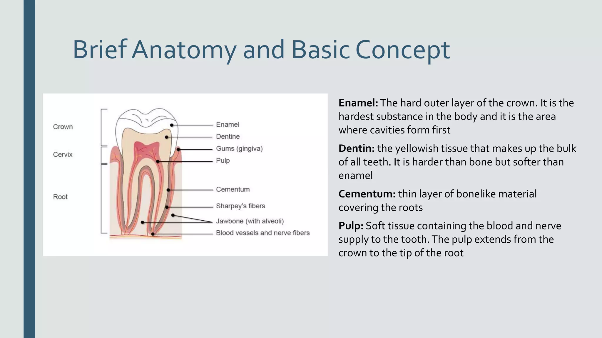 Dentistry & Biomedical Engineering | PPTX