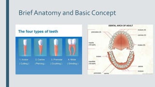Dentistry & Biomedical Engineering | PPTX