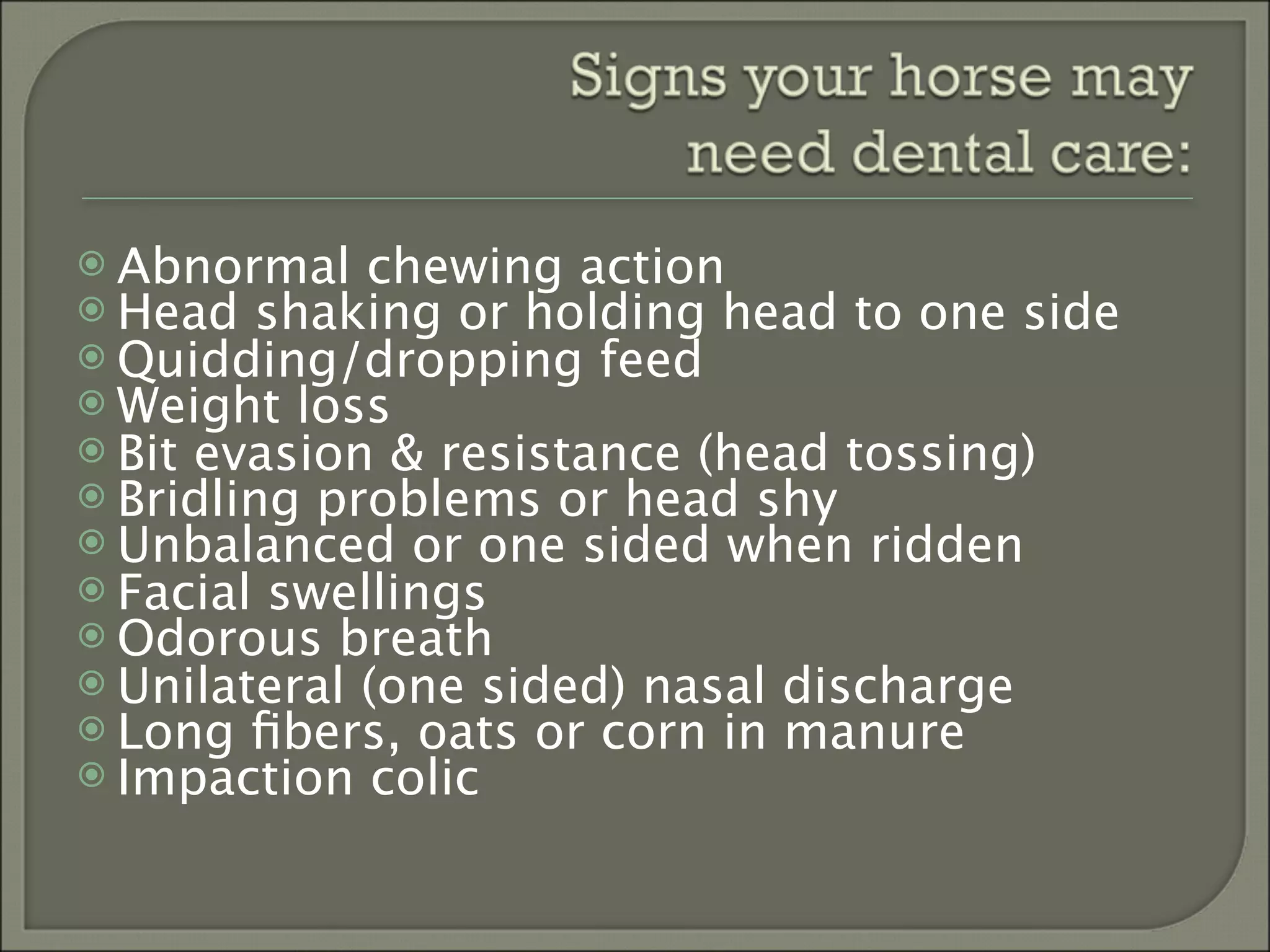 How To #3: How to tell if your horse needs his teeth done | ZIP