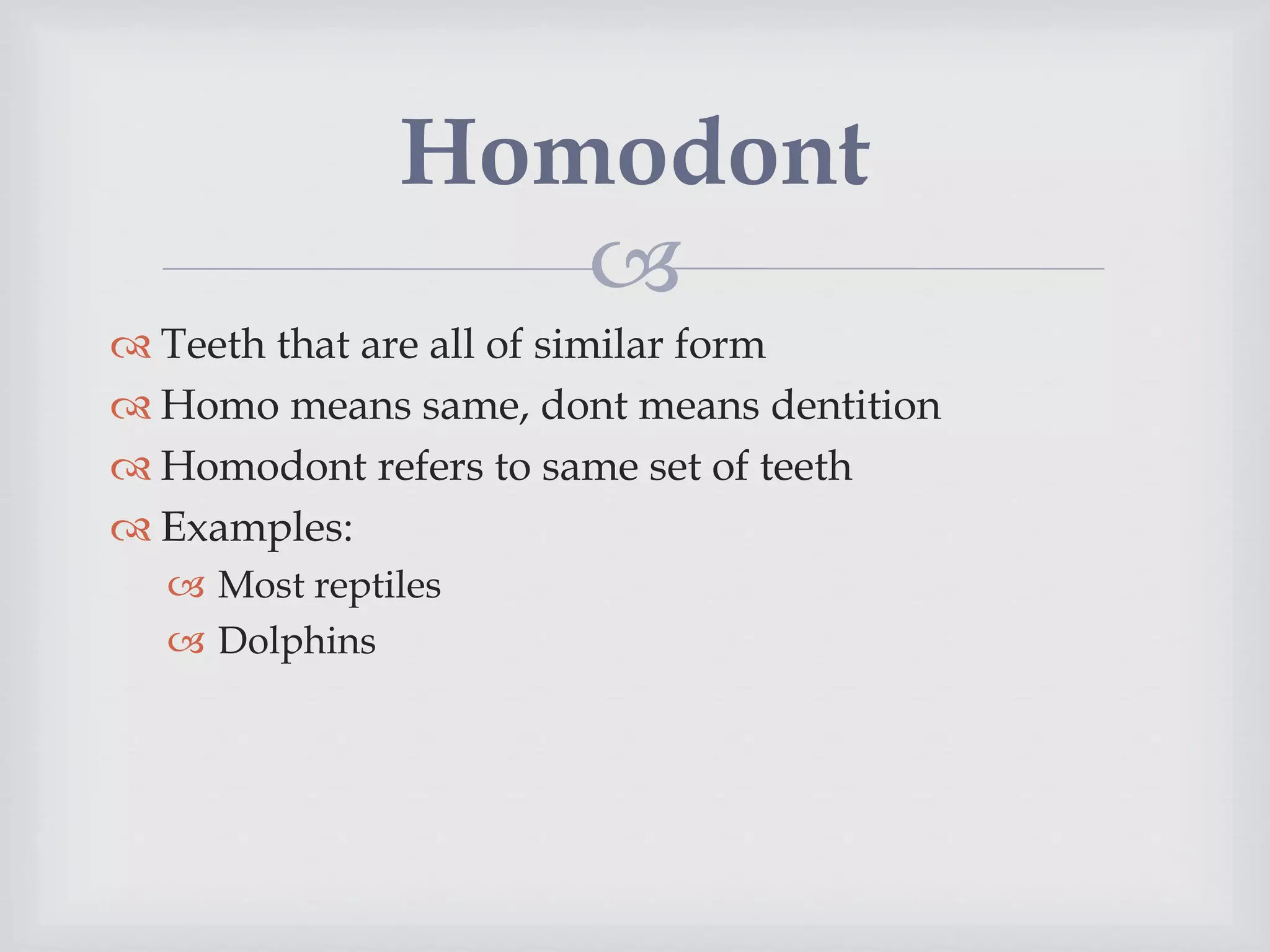 Types of Teeth | PPTX