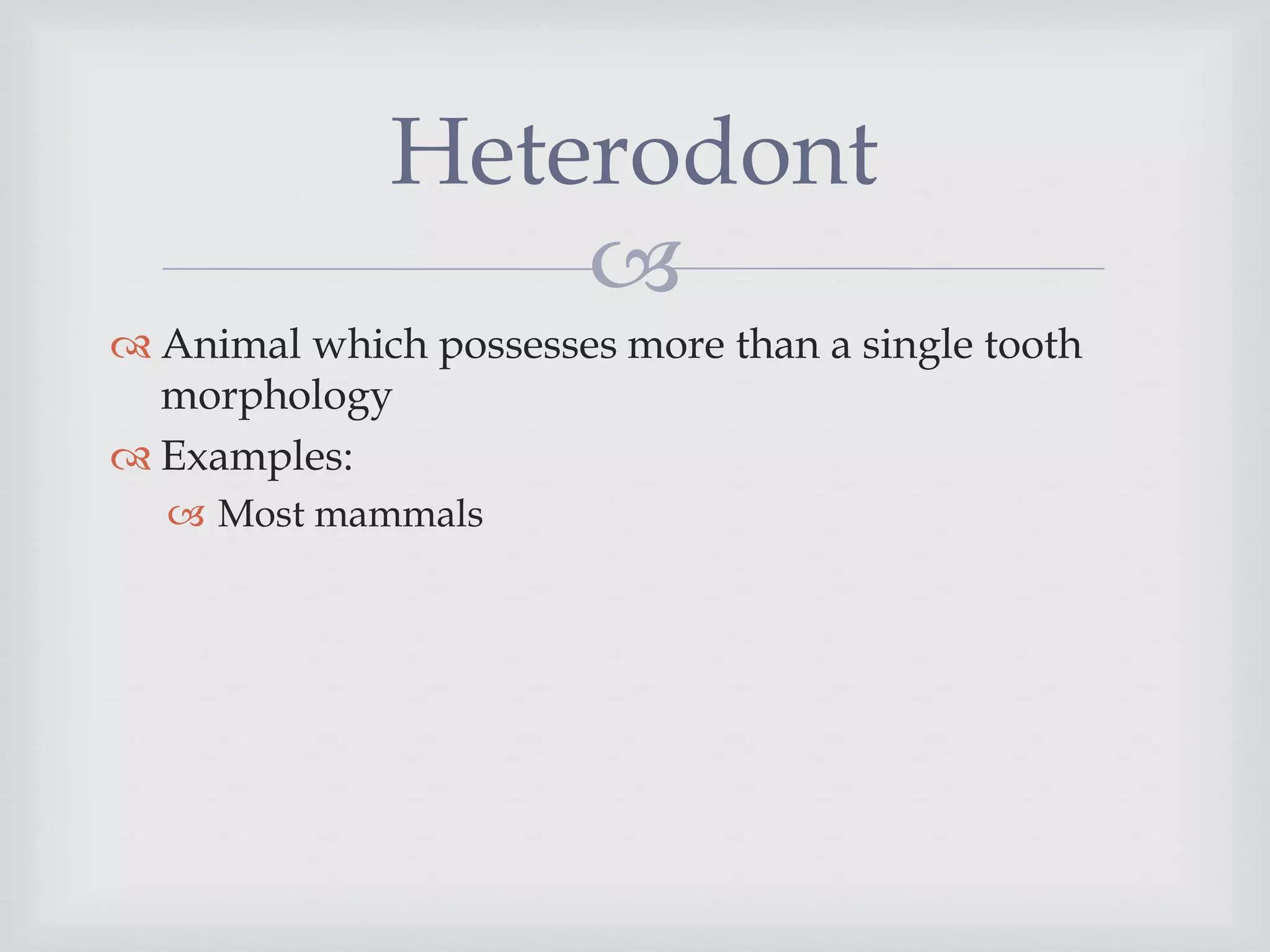 Types of Teeth | PPTX