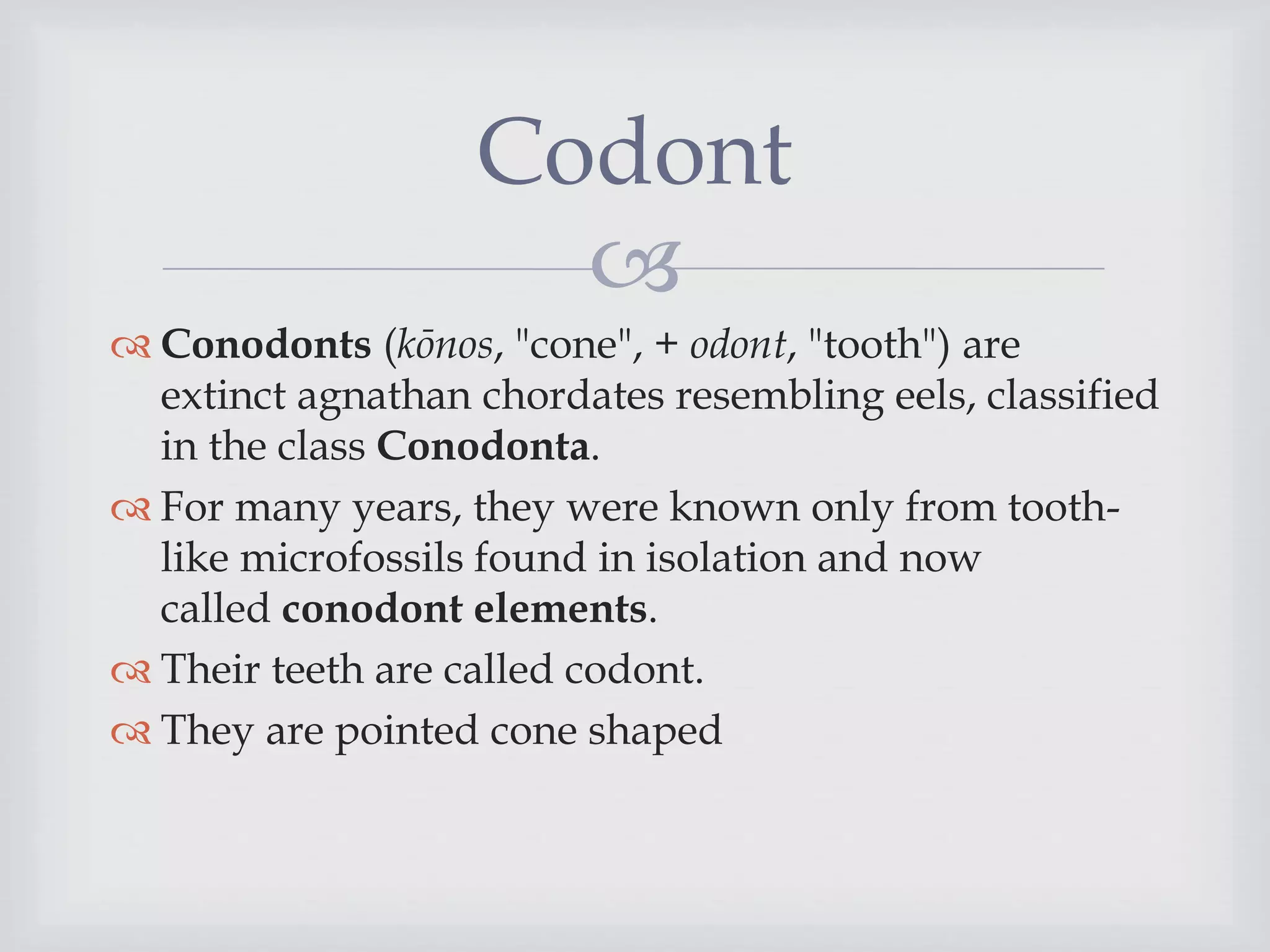 Types of Teeth | PPTX