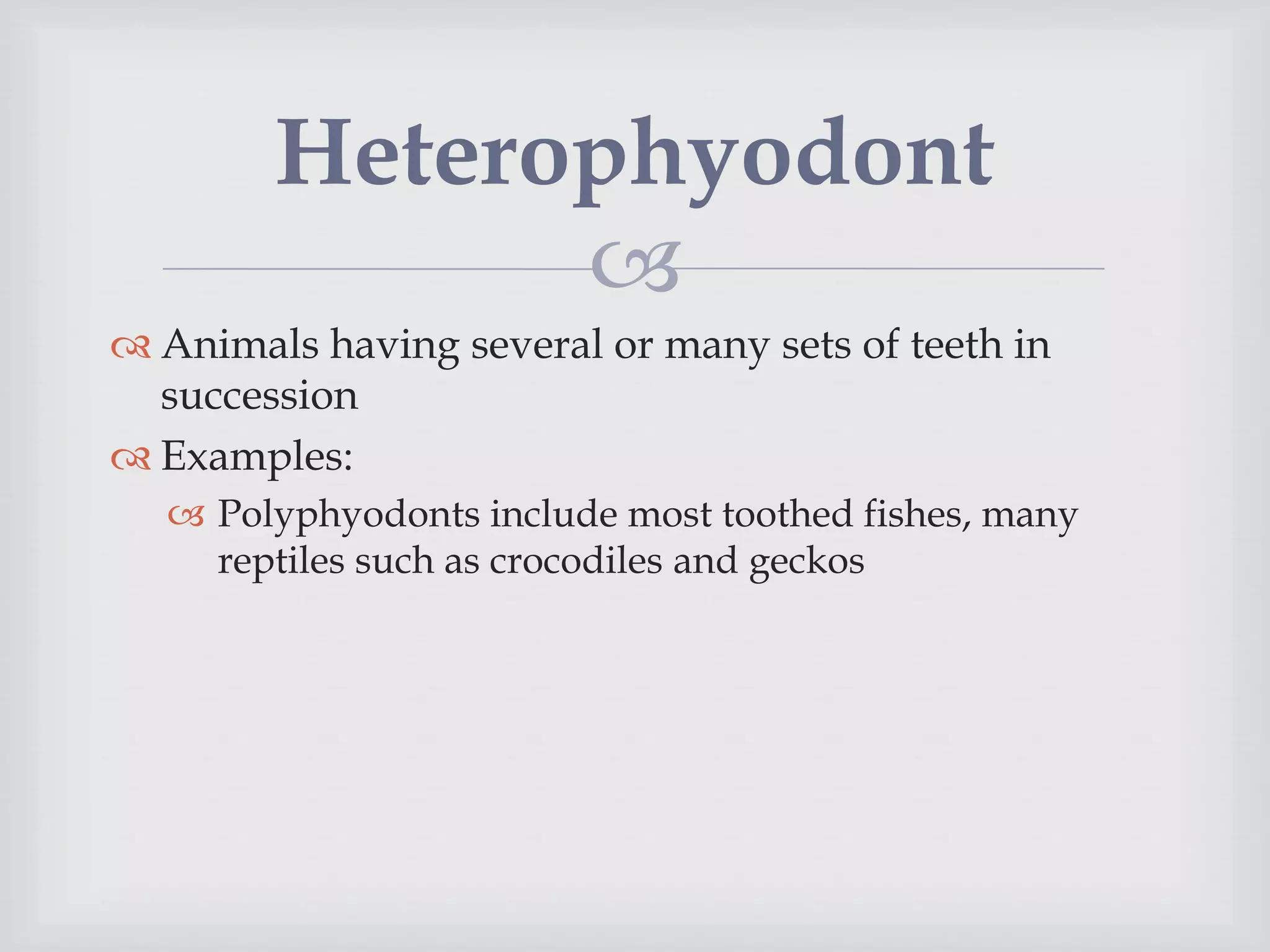 Types of Teeth | PPTX