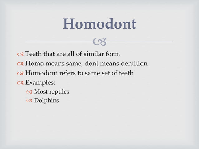 Types of Teeth | PPTX
