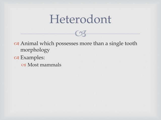 Types of Teeth | PPTX