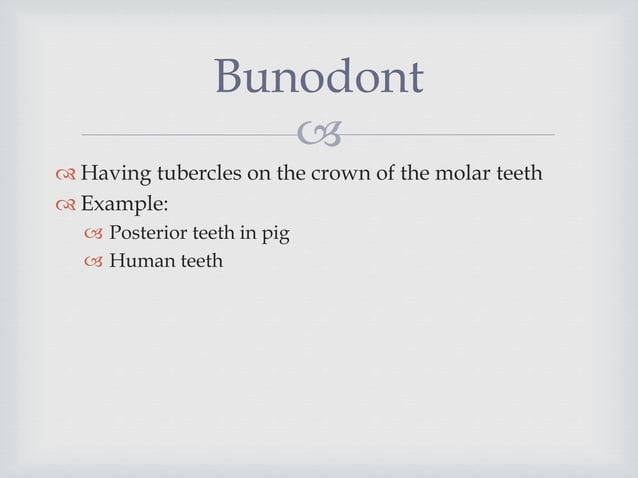 Types of Teeth | PPTX