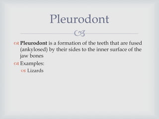 Types of Teeth | PPTX