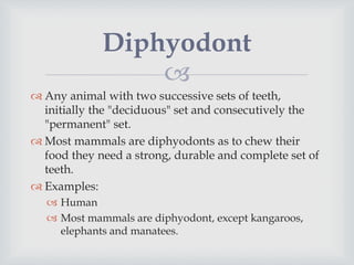 Types of Teeth | PPTX