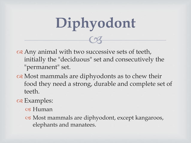 Types of Teeth | PPTX