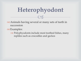 Types of Teeth | PPTX