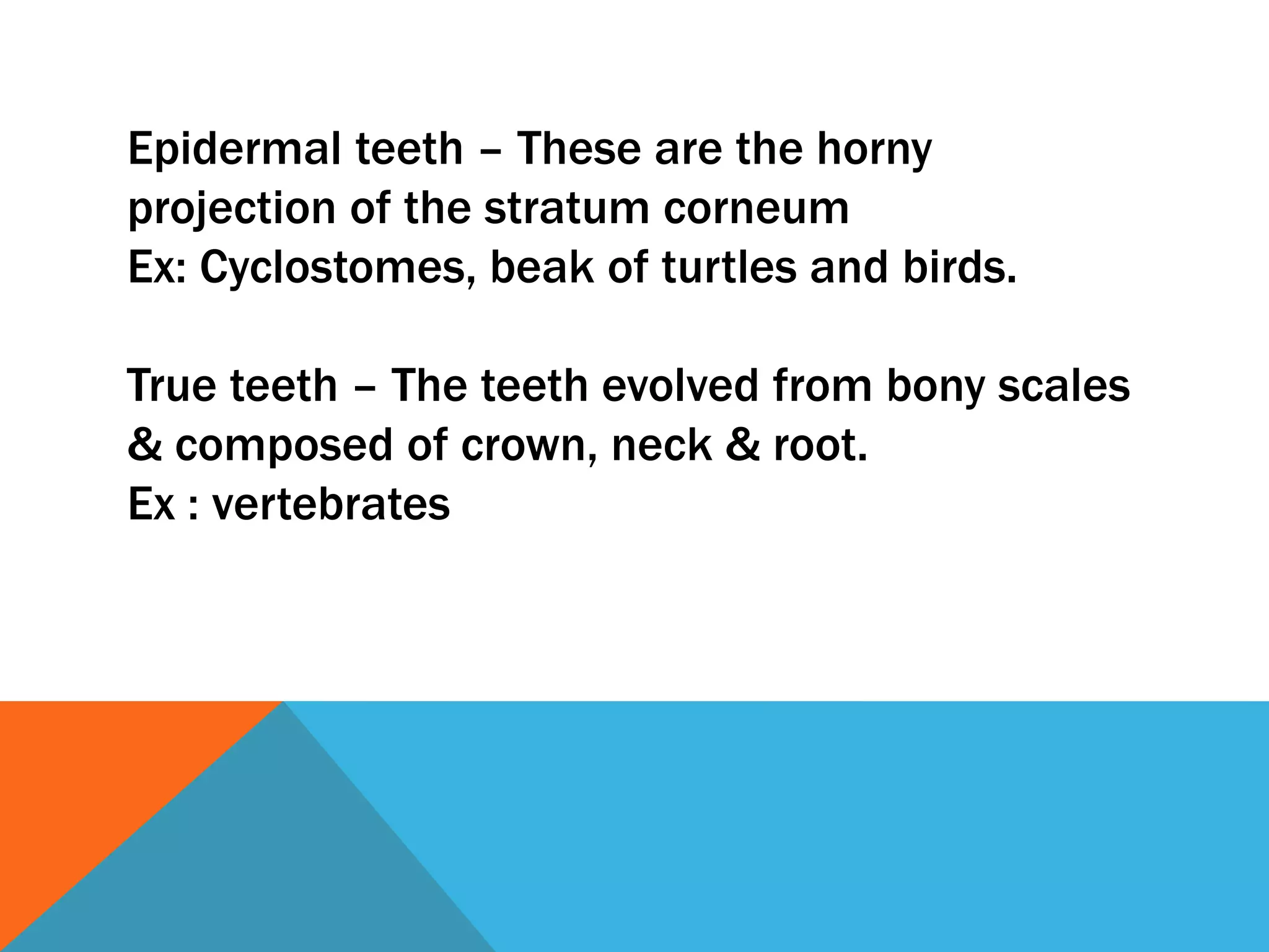 Dentition in Mammals | PPTX
