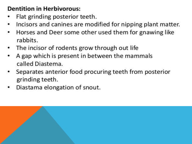 Dentition in Mammals | PPTX
