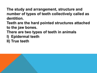 Dentition in Mammals | PPTX