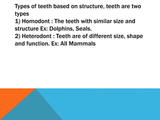 Dentition in Mammals | PPTX