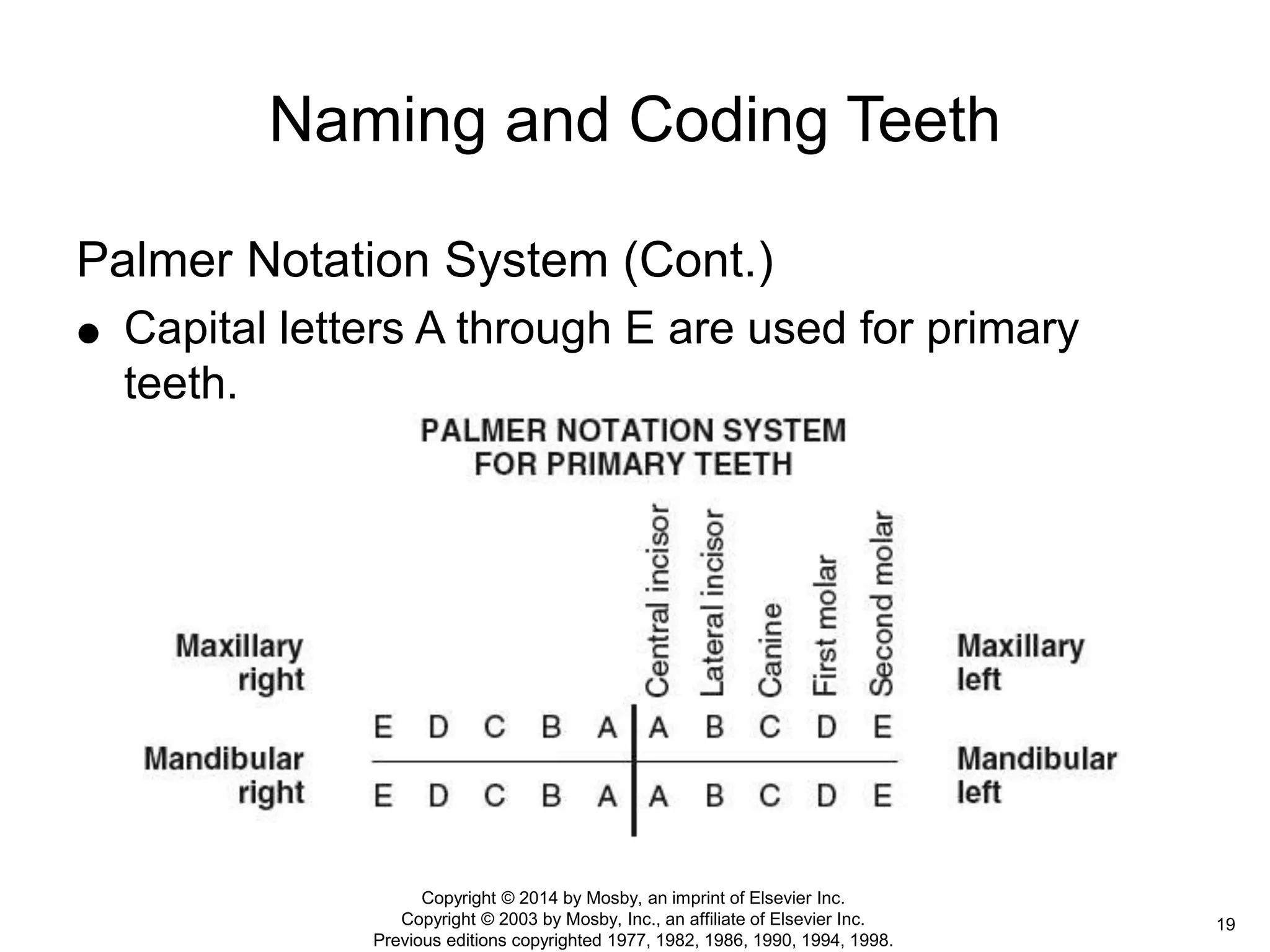 Nomenclature-- Dentition | PPTX