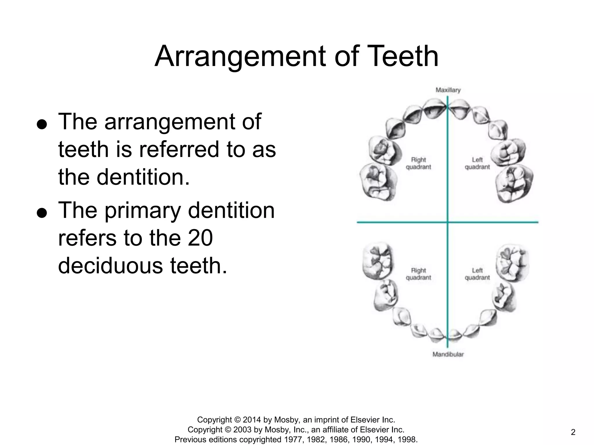 Nomenclature-- Dentition | PPTX