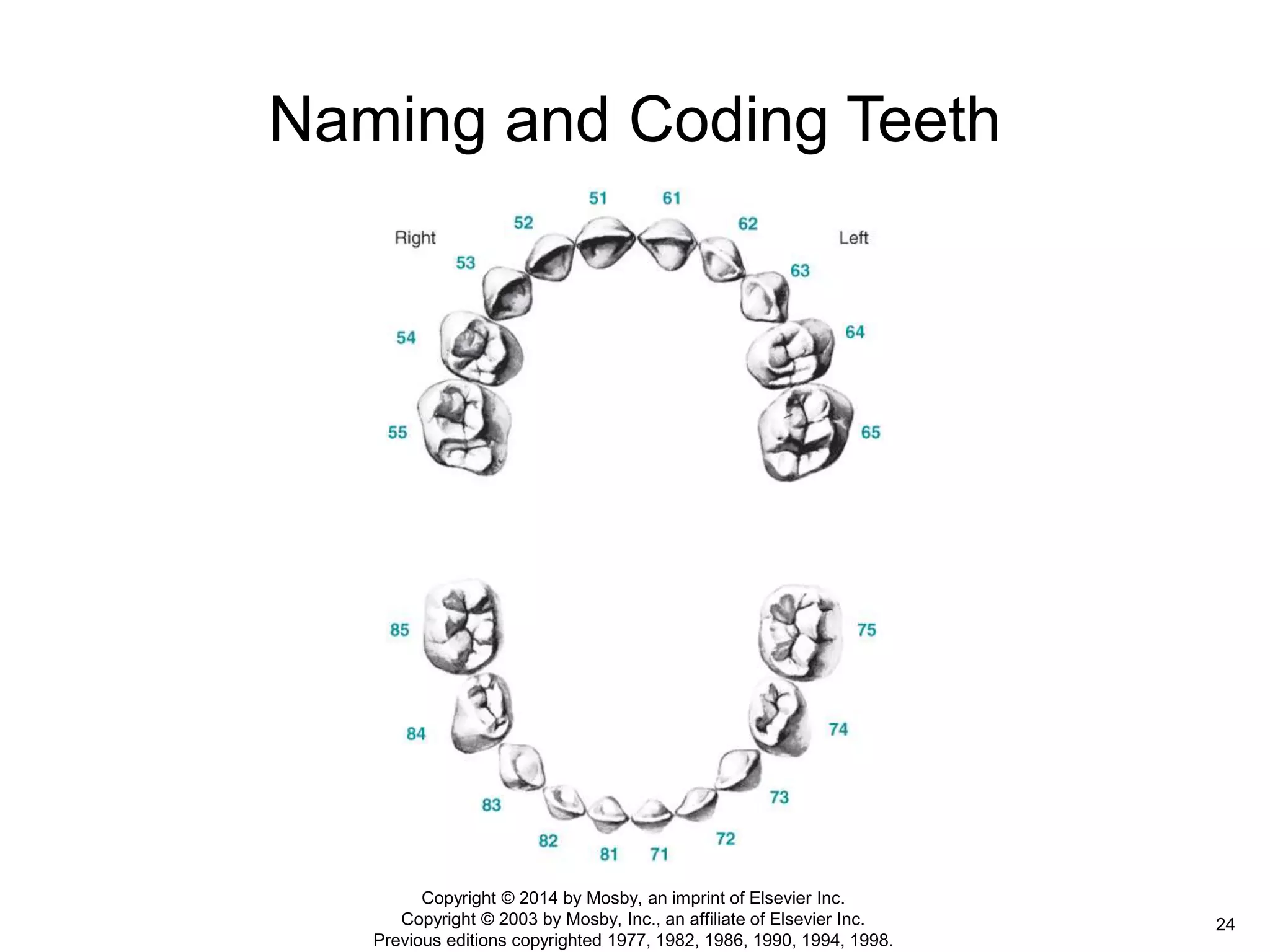 Nomenclature-- Dentition | PPTX