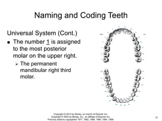 Nomenclature-- Dentition | PPTX