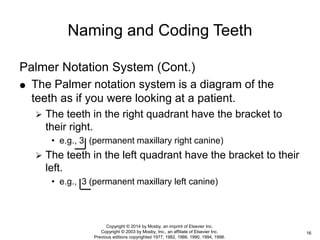 Nomenclature-- Dentition | PPTX