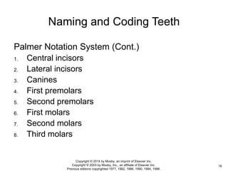 Nomenclature-- Dentition | PPTX