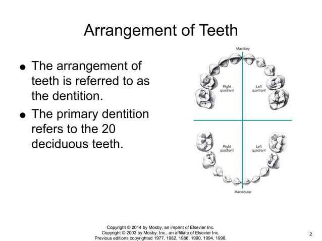Nomenclature-- Dentition | PPTX