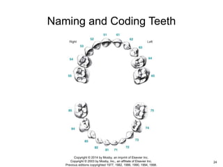Nomenclature-- Dentition | PPTX