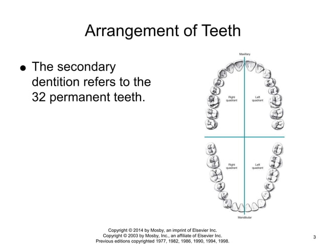 Nomenclature-- Dentition | PPTX