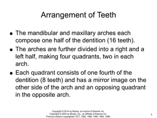 Nomenclature-- Dentition | PPTX