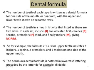 Dentition and sex differentiaon | PPTX