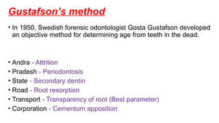 Dentition Basics forensic m. powerpoint t | PPTX