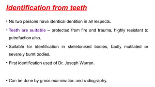 Dentition Basics forensic m. powerpoint t | PPTX