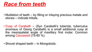 Dentition Basics forensic m. powerpoint t | PPTX