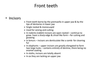 Dentition in mammals.pptx