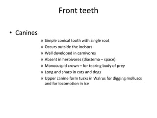 Dentition in mammals.pptx