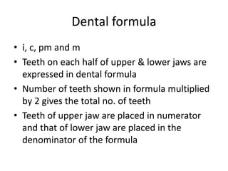 Dentition in mammals.pptx