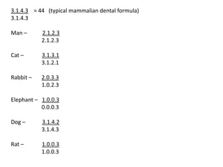 Dentition in mammals.pptx