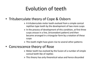 Dentition in mammals.pptx