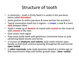 Dentition in mammals.pptx
