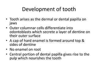 Dentition in mammals.pptx