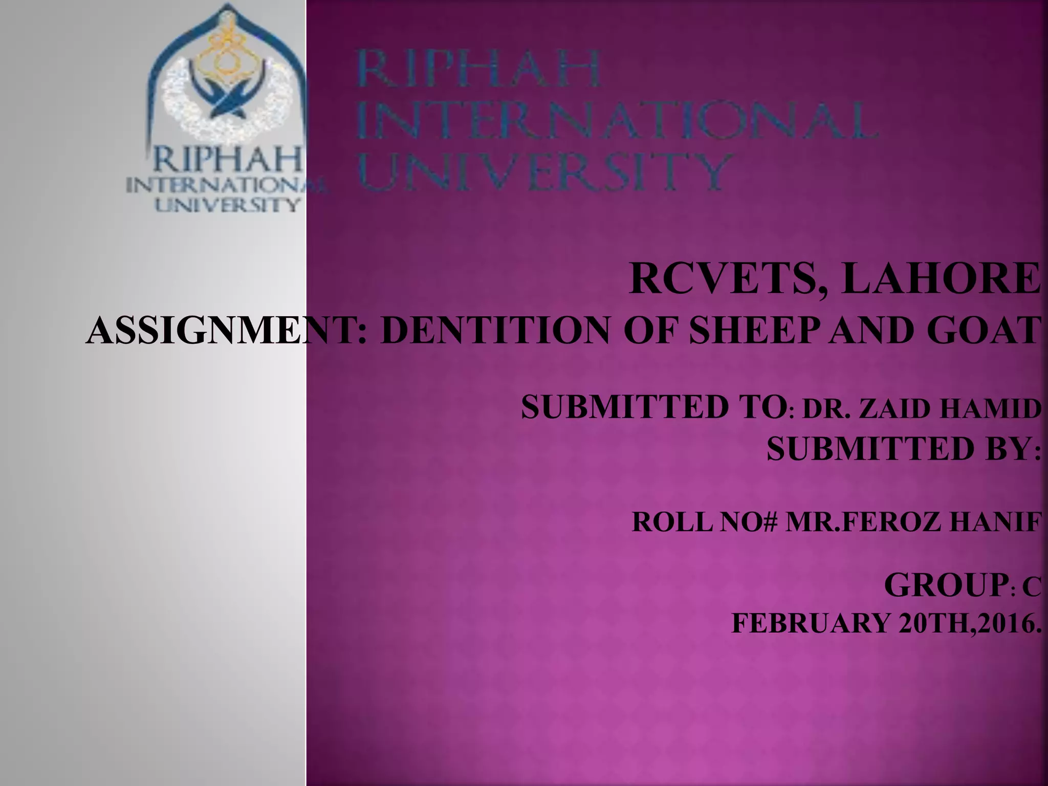 Dentition of sheep and goat | PPTX