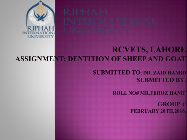 Dentition of sheep and goat | PPTX | Dental Health | Diseases and Conditions