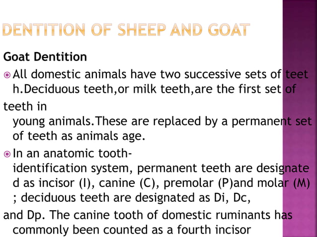 Dentition of sheep and goat | PPTX | Dental Health | Diseases and Conditions