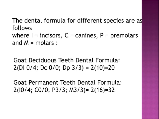 Dentition of sheep and goat | PPTX | Dental Health | Diseases and Conditions