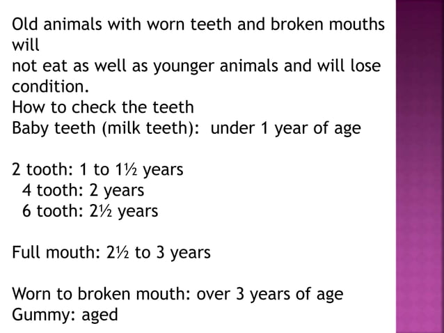 Dentition of sheep and goat | PPTX | Dental Health | Diseases and Conditions