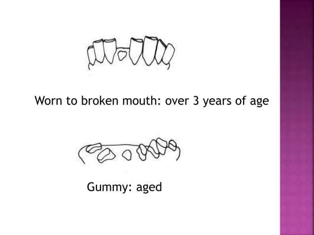 Dentition of sheep and goat | PPTX | Dental Health | Diseases and ...