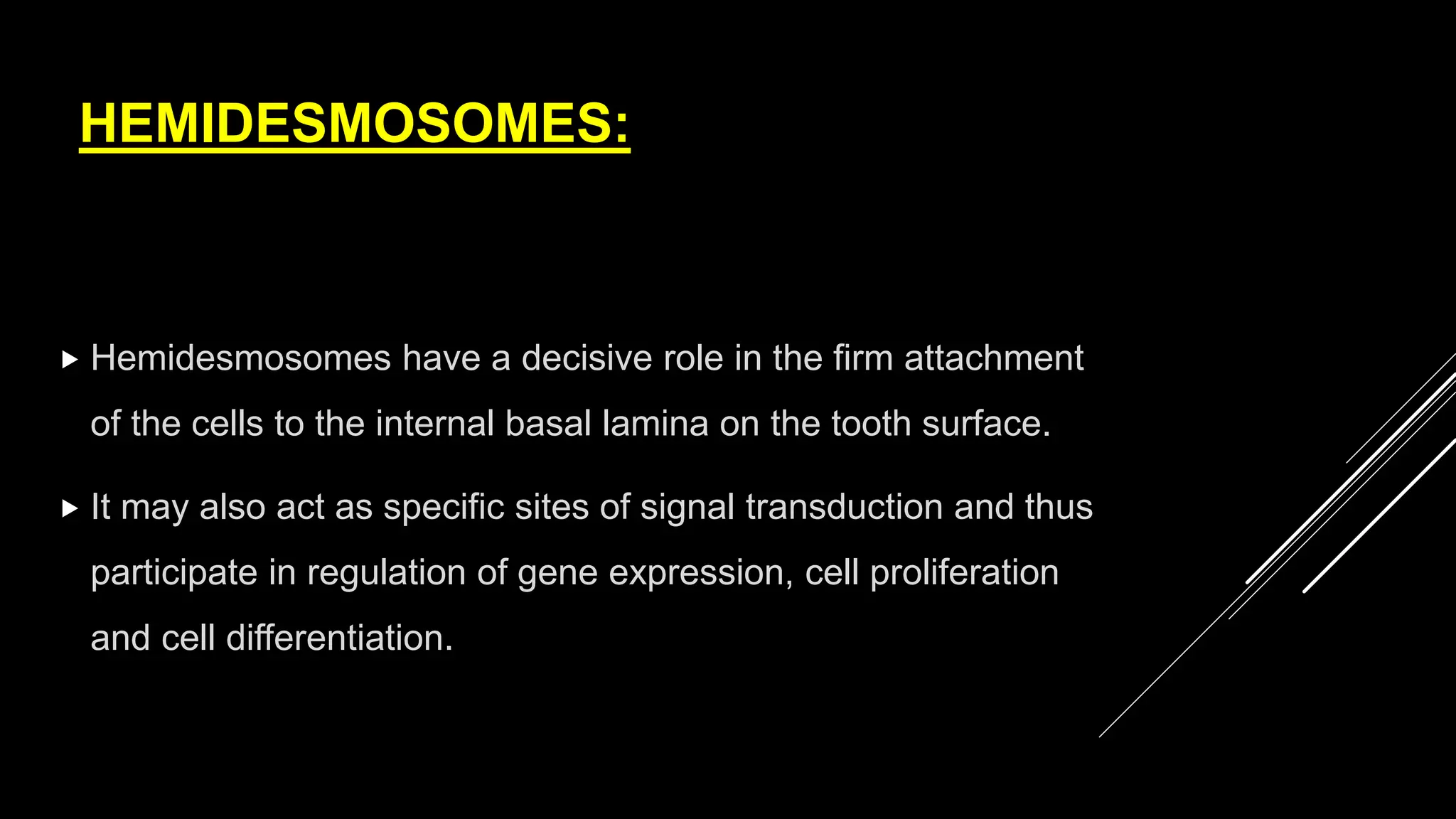 Dento gingival junction | PPTX