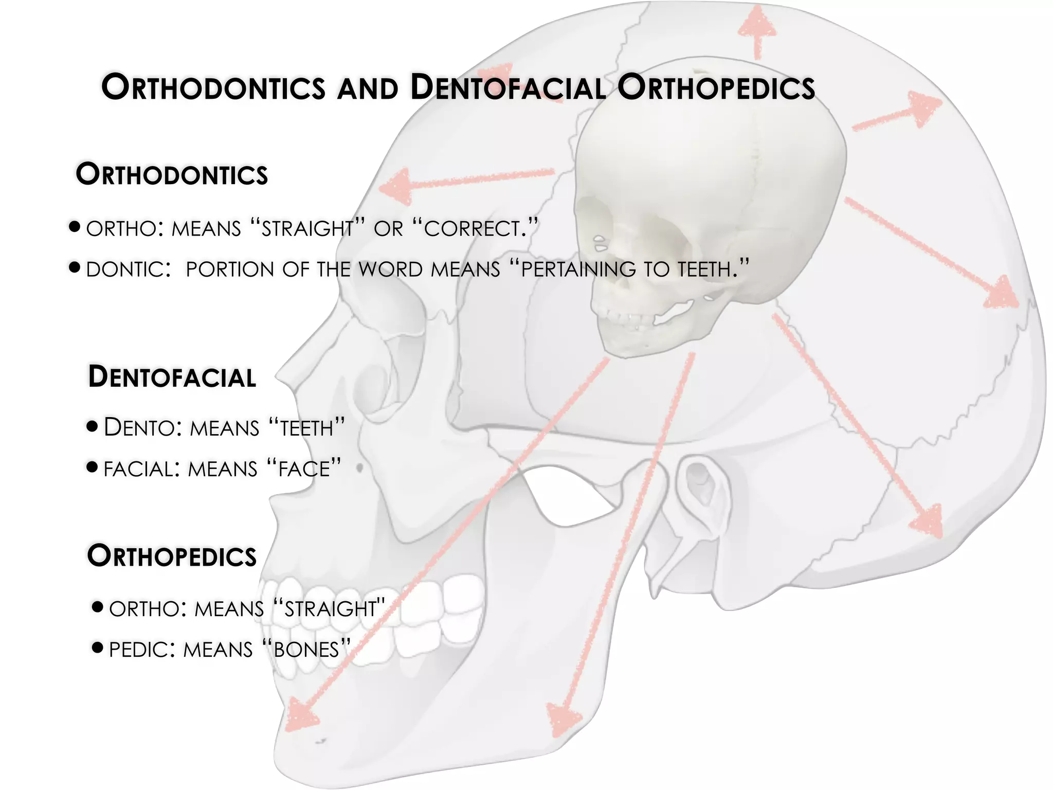 Dentofacial Orthopedic Appliance - Twin Block | PDF
